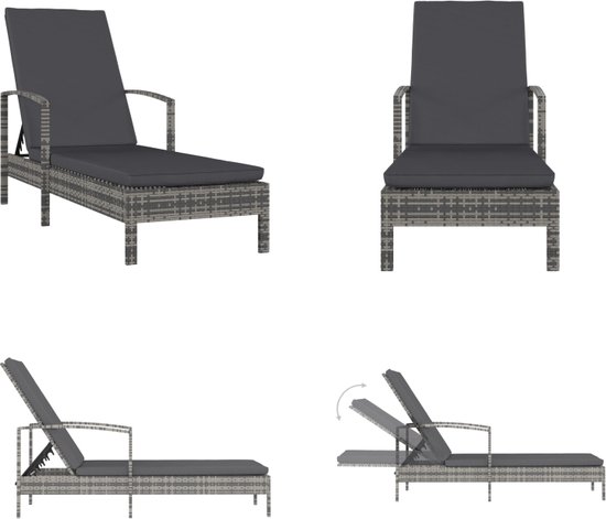 vidaXL Ligbed met armleuningen poly rattan grijs - Ligbed - Ligbedden ...