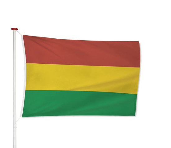 VlagDirect - Carnavalsvlag - Carnaval Vlag - 90 x 150 cm. | bol