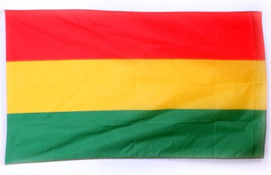 VlagDirect - Vasteloaves Vlag - Limburgse Carnaval Vlag - 90 x 150 cm ...