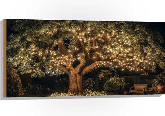 Hout - Boom - Lampjes - Verlichting - Achtertuin - Donker - Avond ...