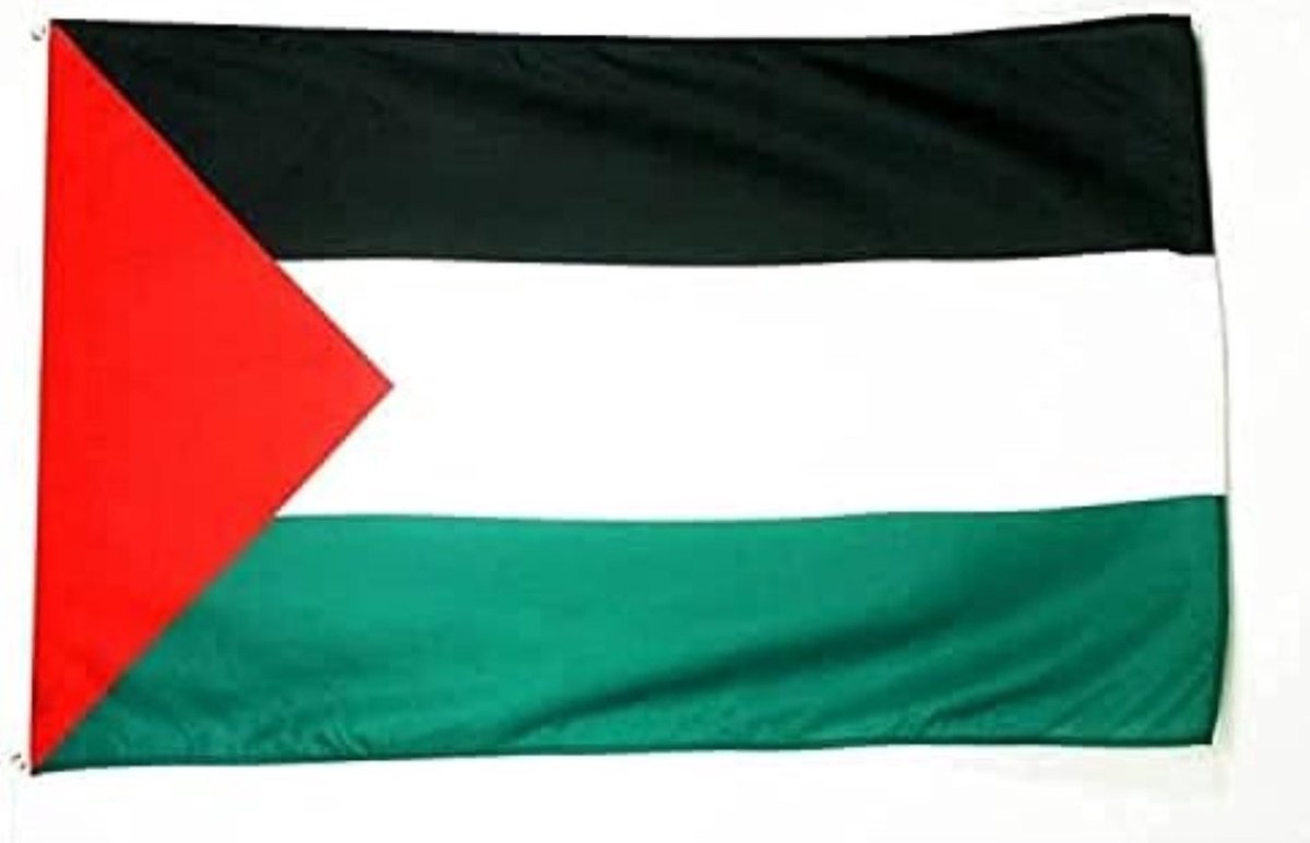 Palestina Vlag - Palestijnse Vlag - Palestine - 150x90cm | bol