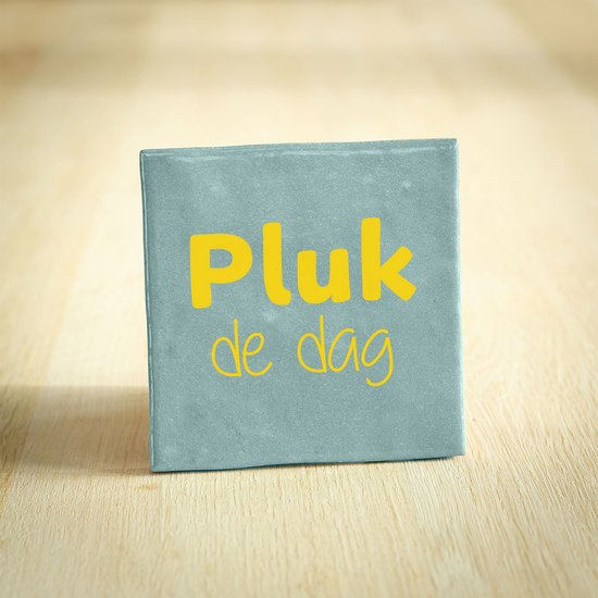 Tegeltje - Pluk De Dag | Lichtblauw & Geel | 10x10cm - Interieur ...