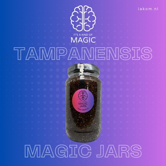 Magic Jar - Grow kit - Scletoria - Truffel | bol
