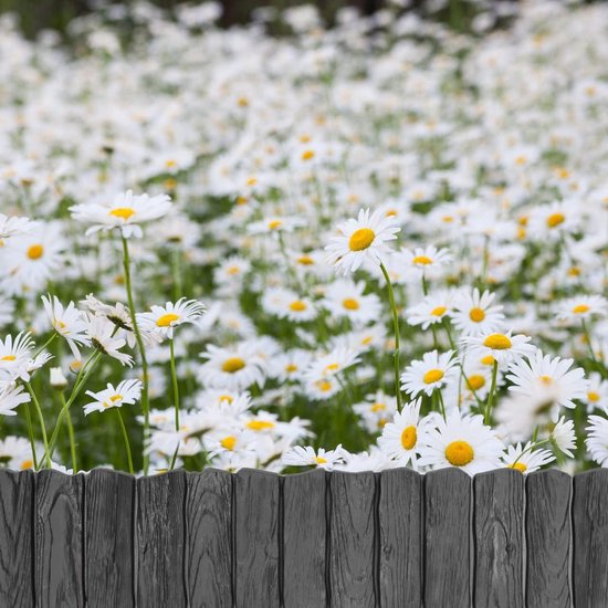 Rolborder - Borderrand - Border - Rollborder - Tuinborder | bol
