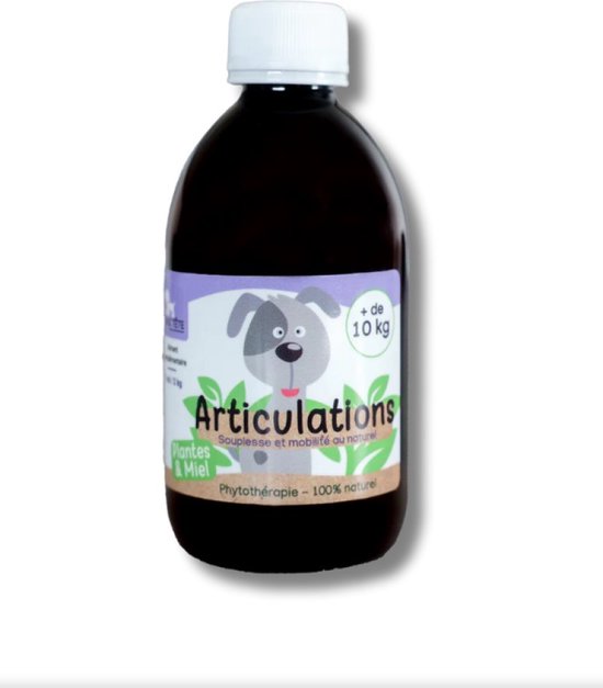 KasTete Franse Natuurlijke gewrichten siroop voor honden meer dan + 10 ...