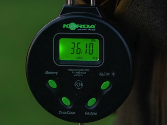 Digital Scale 132LB/60KG Korda | bol