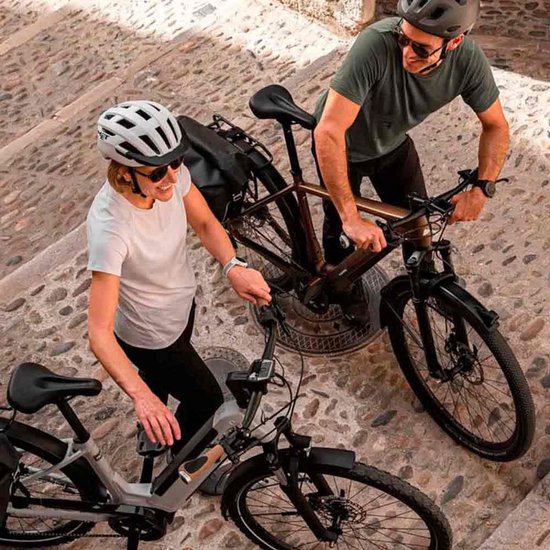 Ergon Gp1 Evo Rohloff/nexus Handvatten Zwart 130/100 mm | bol