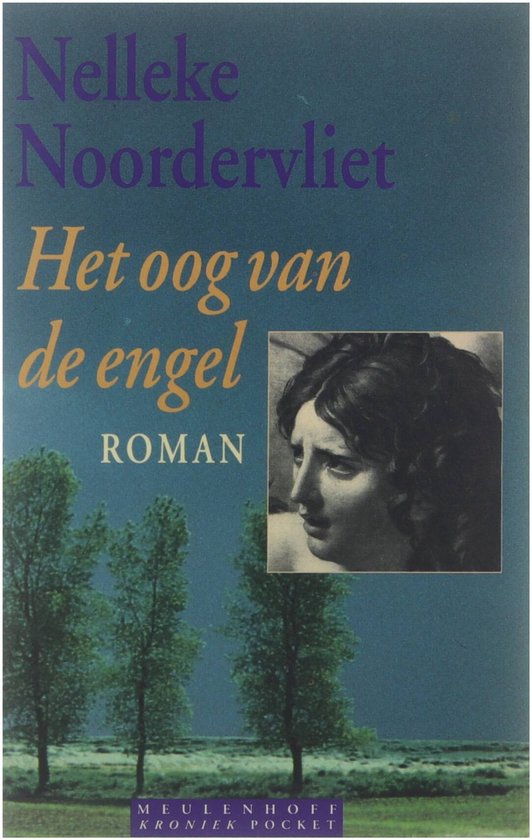 Het oog van de engel : roman, Nelleke Noordervliet | 9789029048774 | Boeken | bol