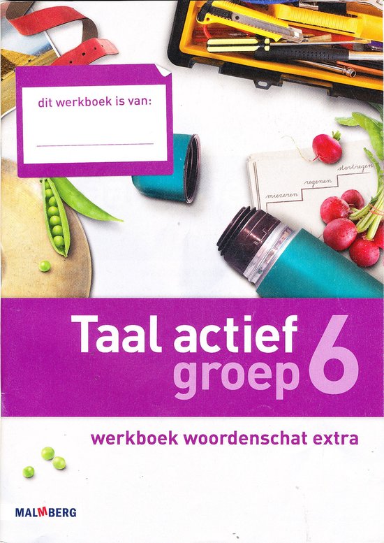 Taal Actief versie 4 Werkboek Woordenschat groep 6 (per stuk) | 8721101627874 | Boeken | bol