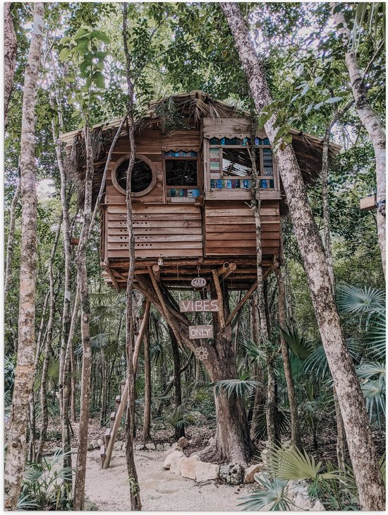 WallClassics - Poster (Mat) - Boomhut in het Groene Bos - 60x80 cm Foto ...