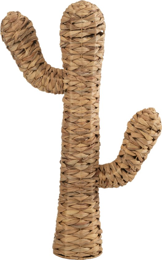 J-Line Cactus Decoratief Jacynthe/Ijzer Naturel Medium | bol.com
