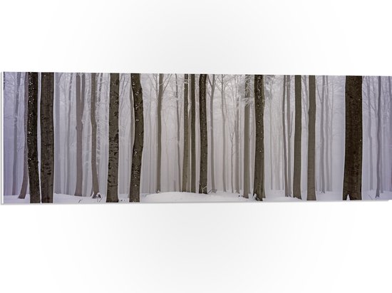 PVC Schuimplaat- Smalle Bomen in Besneeuwd Bos - 90x30 cm Foto op PVC ...