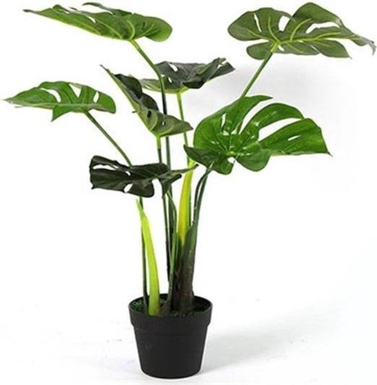 Monstera Plant Groen - Ø50xH70 cm | bol