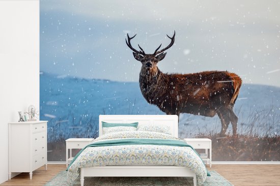 Behang - Fotobehang Hert op de besneeuwde heide - Breedte 600 cm x ...