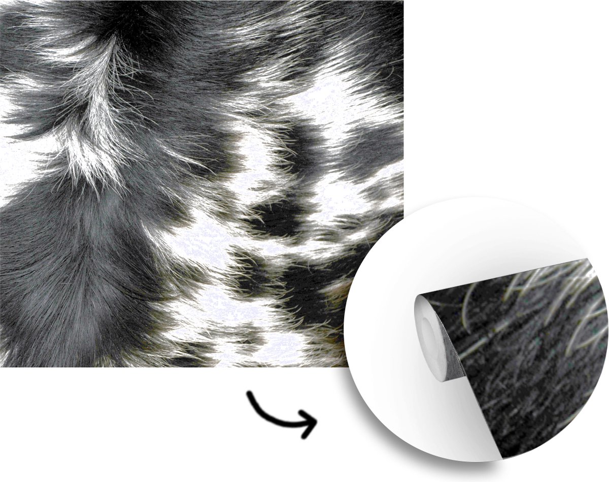 Behang - Fotobehang De koeienhuid van een longhorn koe - Breedte 220 cm ...