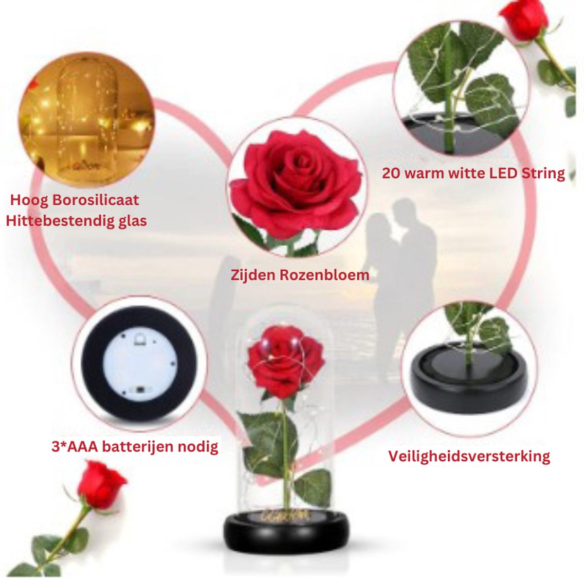 Rm Eternity Rose - Roos - Gouden Roos In Glazen Stolp Met Led ...