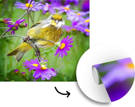 Behang - Fotobehang Gele kanarie tussen madeliefjes in de natuur ...