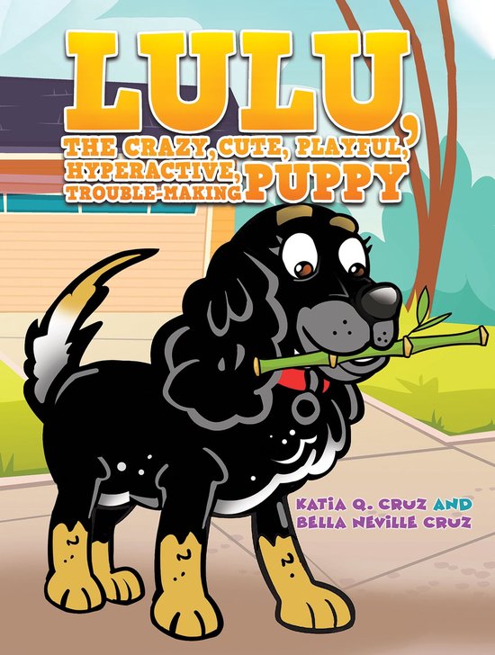 Lulu, the crazy, cute, playful, hyperactive, trouble-making puppy ...