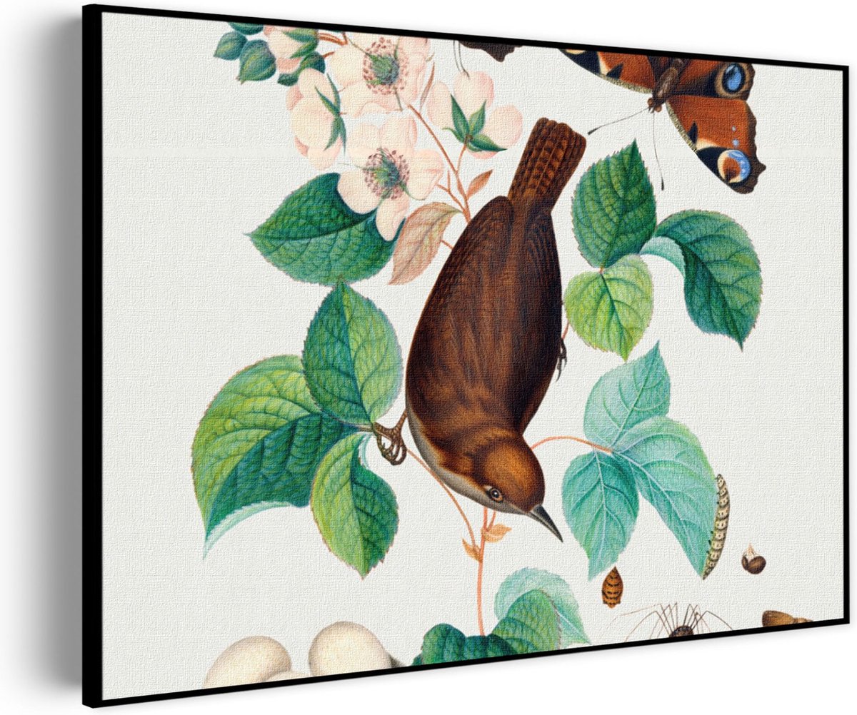Akoestisch Schilderij Prent Natuur Vogel en Bloemen 03 Rechthoek Horizontaal Basic S... | bol.com
