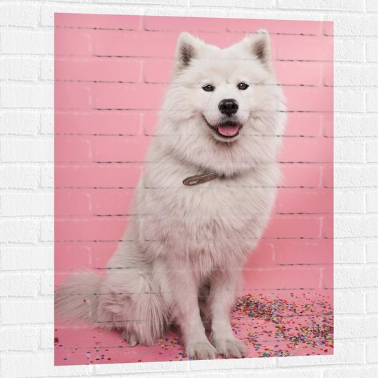 WallClassics - Muursticker - Portret van Witte Hond tegen Roze ...
