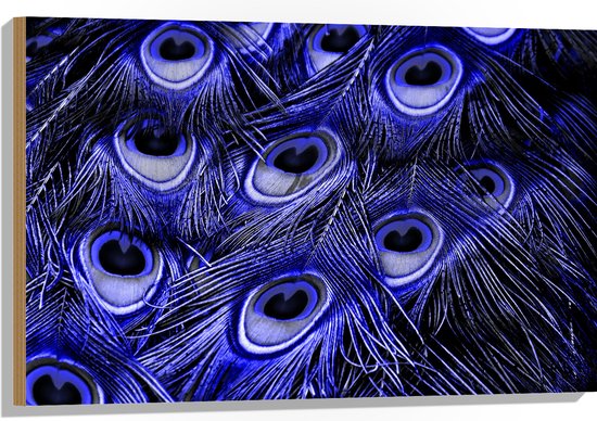 Hout - Patroon van Pauwenveren - 90x60 cm - 9 mm dik - Foto op Hout ...