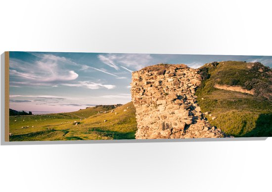 Hout - Stenen Rots in Groenkleurig Landschap Vol Schapen - 120x40 cm ...