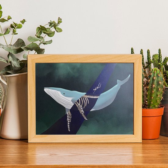 X-Ray Walvis - A4 Poster | bol.com