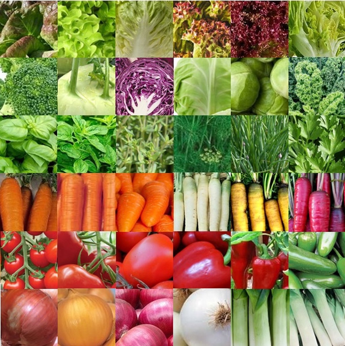 Groentezaden assortiment 36 soorten (sla, kolen, wortels, kruiden ...