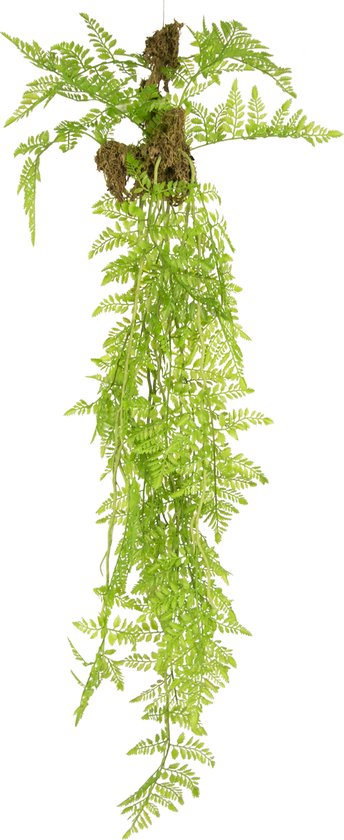 Greenmoods Kunstplanten - Kunstplanten - Kunst hangplant Varen Mix ... Greenmoods Kunstplanten - Kunstplanten - Kunst hangplant Varen Mix ...