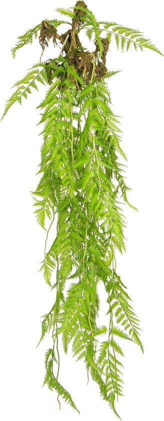Greenmoods Kunstplanten - Kunstplanten - Kunst hangplant Varen Deluxe ... Greenmoods Kunstplanten - Kunstplanten - Kunst hangplant Varen Deluxe ...