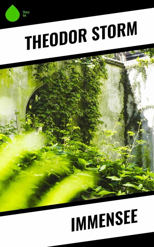 Immensee (ebook), Theodor Storm | 9788028263195 | Boeken | bol