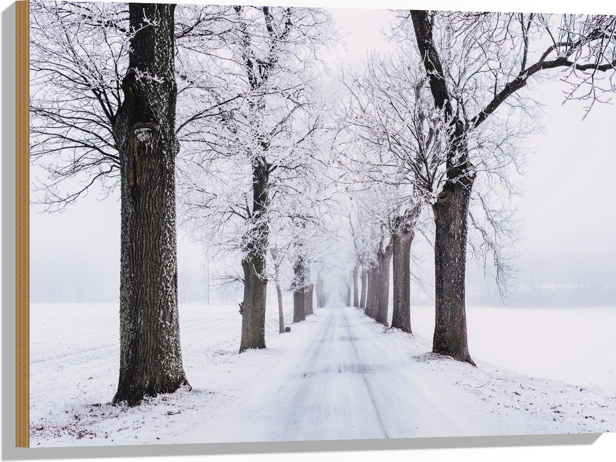 Hout - Bomen langs Besneeuwd Bospad in Sneeuw Landschap - 80x60 cm - 9 ...