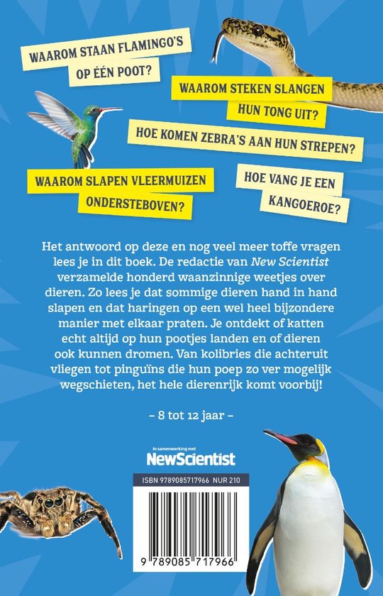 Hoe vang je een kangoeroe?, Redactie New Scientist | 9789085717966 | Boeken | bol