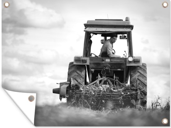 Tuin decoratie Een boer op zijn trekker aardappels aan het oogsten ...