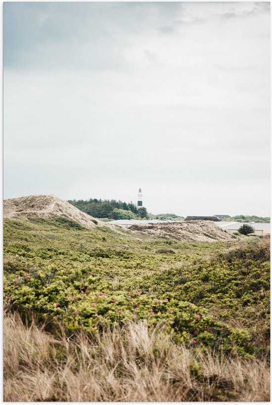 WallClassics - Poster (Mat) - Groene Grassen in Landschap voor ...