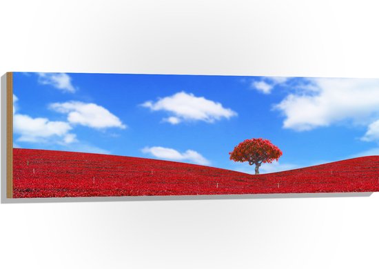 Hout - Kleurrijk Rood Gekleurd Landschap met Blauwe Lucht - 120x40 cm ...