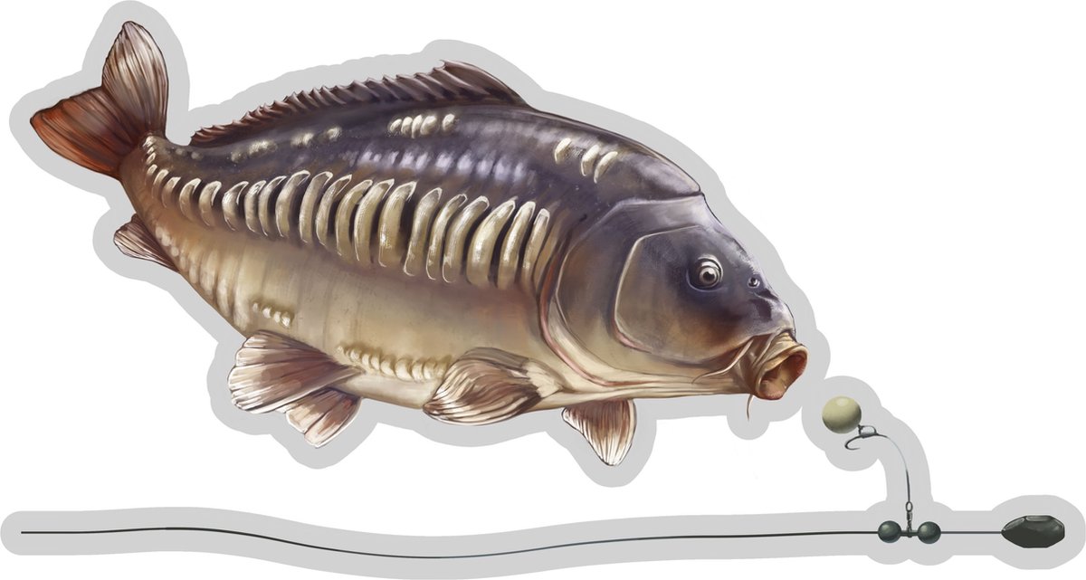 Carpyshot - Karper sticker - Rijenkarper - Spiegelkarper - Chod rig ...
