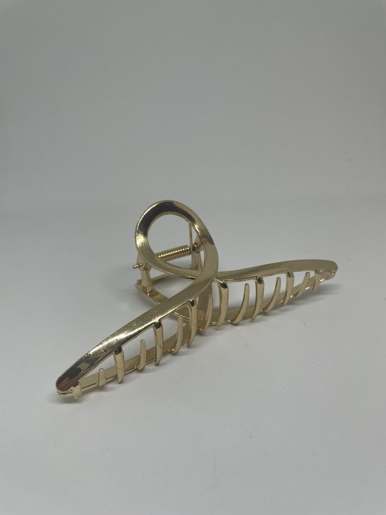 Mijnhaarclip - Haarclip - Haarklem - Haarspeld - Haarclips ...