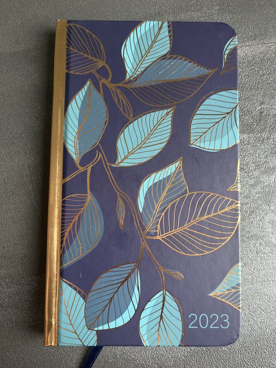 DLP - agenda 2023 - blue - gold - leaves - year agenda | bol.com