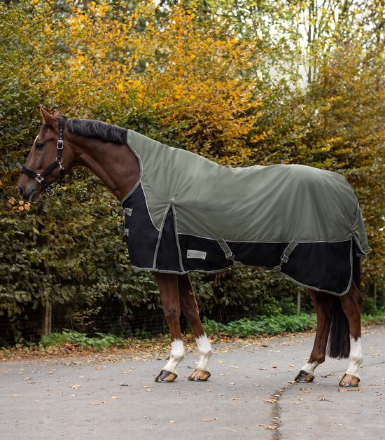 COMFORT Turnout Rug, 200 G, High Neck | bol.com