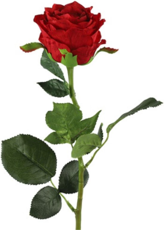 Everplant Kunstbloem Roos Rood 70 cm - Nepbloemen - Kunstbloemen voor ...