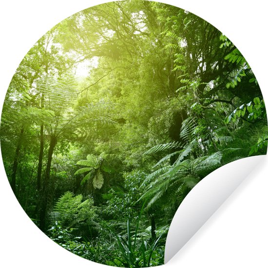WallCircle - Muurstickers - Behangcirkel - Jungle - Planten - Bladeren - Jongens -... | bol