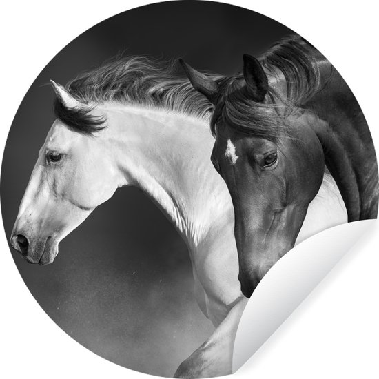 WallCircle - Behangcirkel - Zelfklevend behang - Dieren - Paarden - Natuur - 100x100... | bol.com