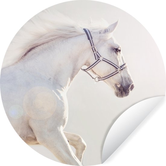 WallCircle - Muurstickers - Behangcirkel - Paard - Wit - Manen - ⌀ 30 cm - Muurcirkel... | bol