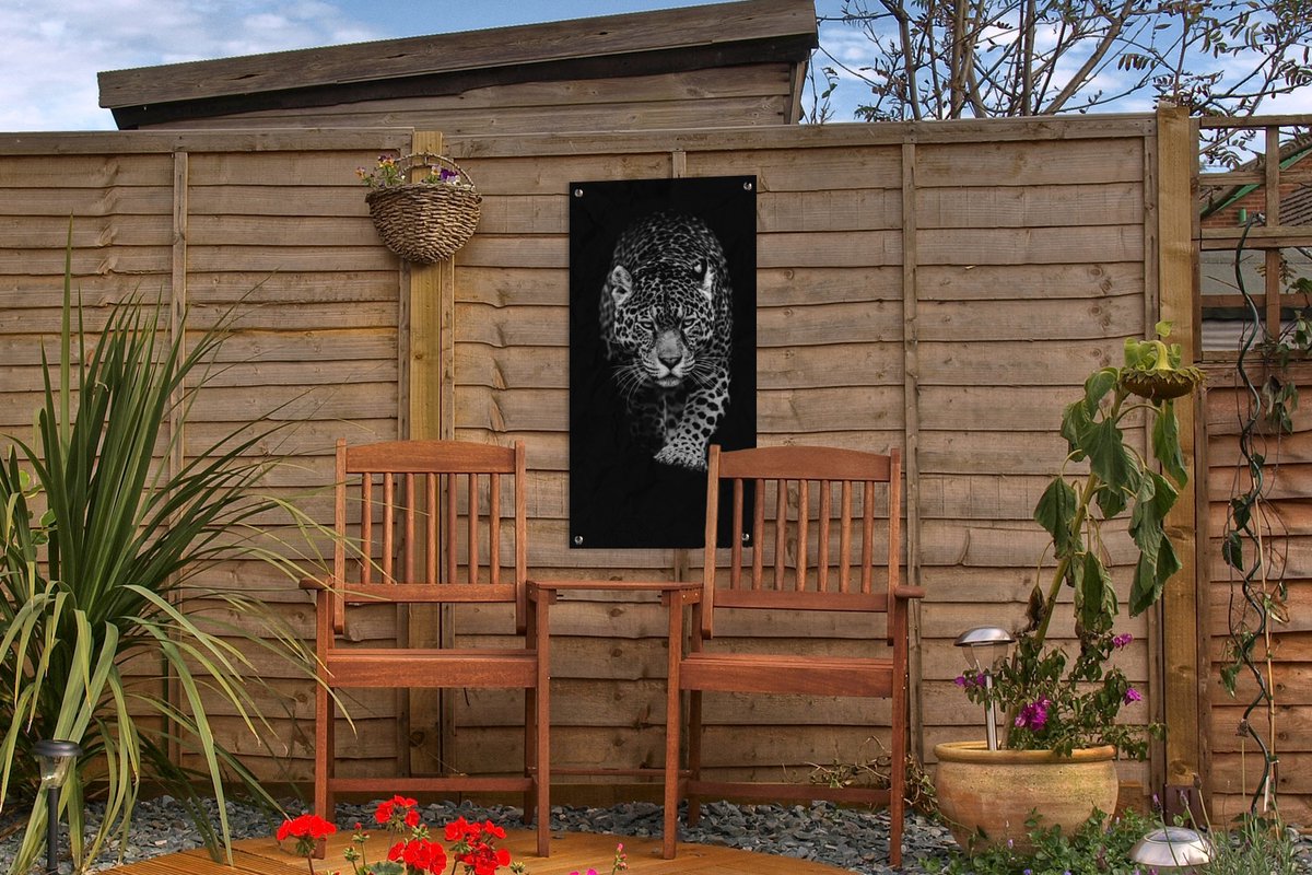 Tuinposter Dieren - Zwart - Luipaard - Wit - Wild - 30x60 cm | bol.com