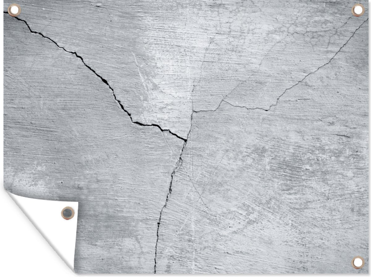 Muurdecoratie buiten Beton - Scheur - Grijs - 160x120 cm | bol.com