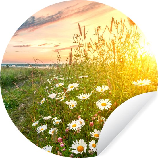 WallCircle - Muurstickers - Behangcirkel - Bloemen - Madelief - Natuur - Zon - Horizon... | bol