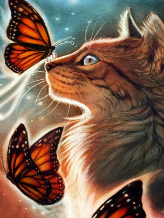 Diamond Painting Pakket - Vlinders en Kat - 40x30 cm - Complete Set ...