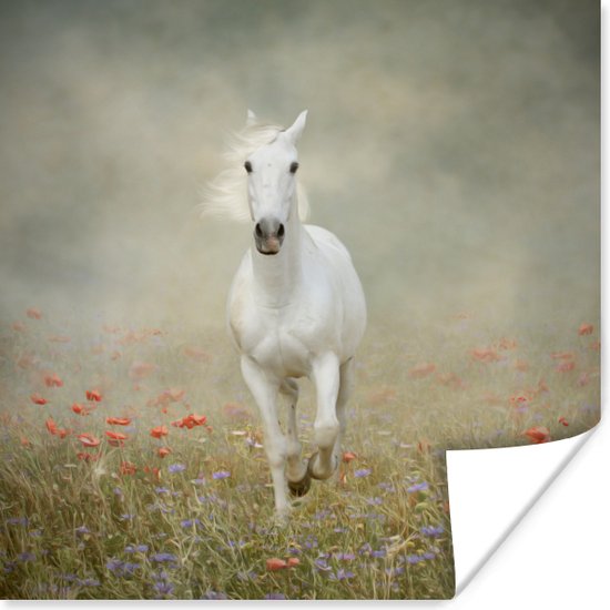 Poster Paard - Stof - Bloemen - 75x75 cm | bol