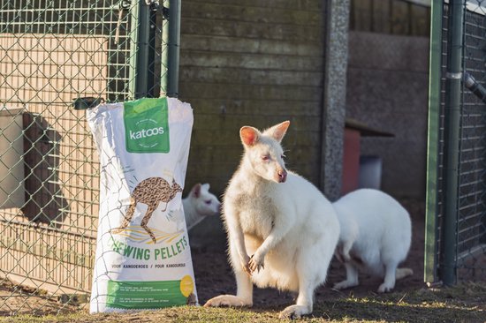 Katoos - Chewing Pellets voor kangoeroes | bol